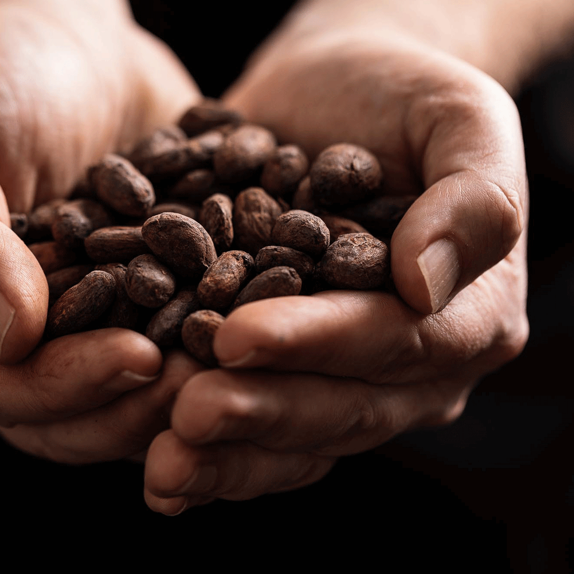 Federation Artisan Chocolate - Hobart Chocolate Factory Tour Tasmania ...